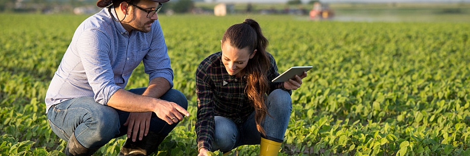 Agronomia: Conheça tudo sobre essa área de atuação!