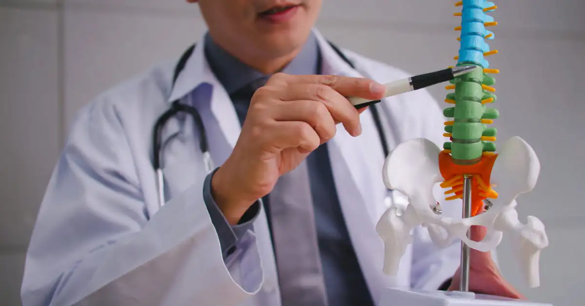 Saiba o que é fisiologia - Blog da Pitágoras